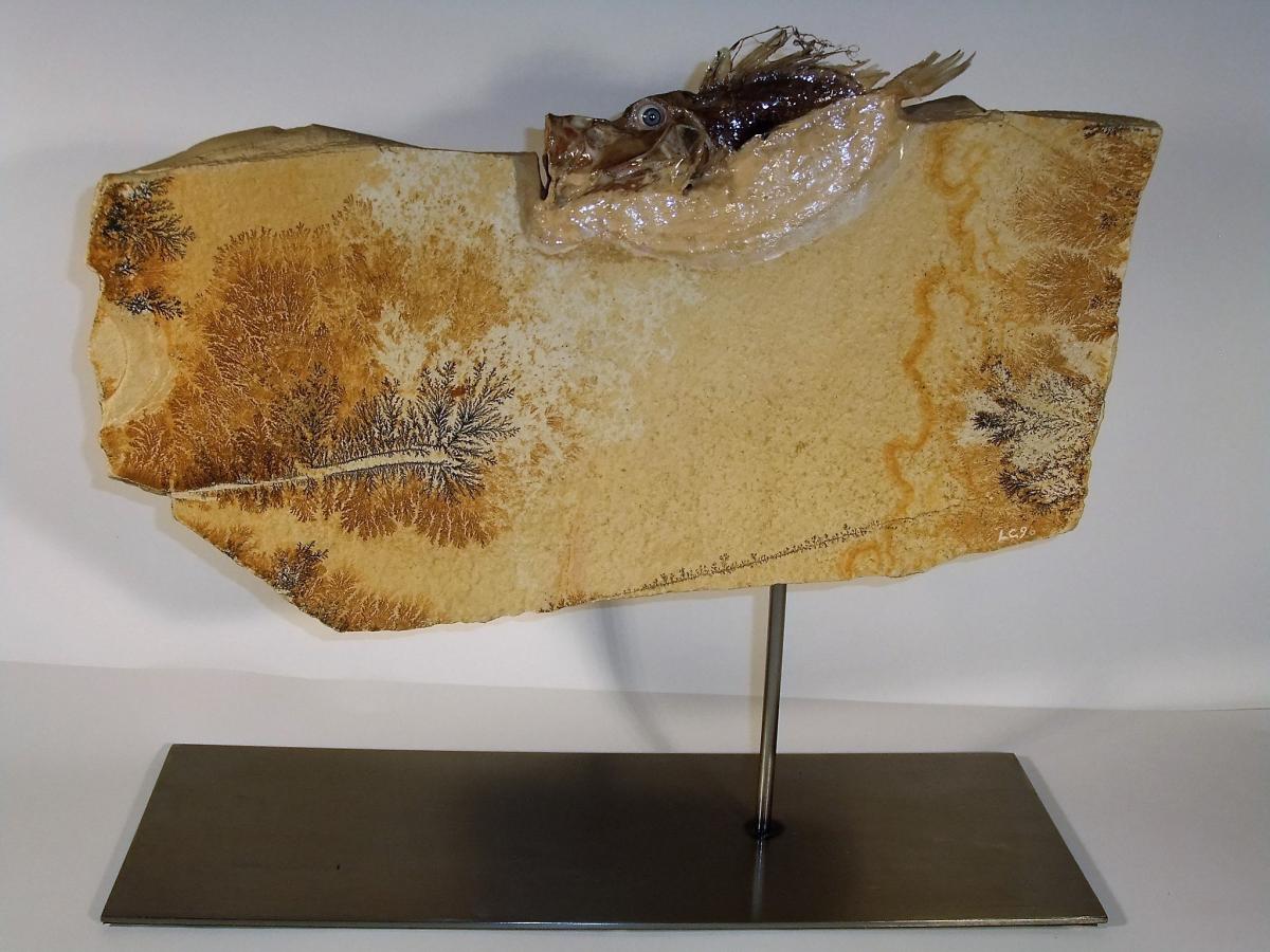 4.Zyklus Pseudofossilien – LOUIS CONSTANTIN